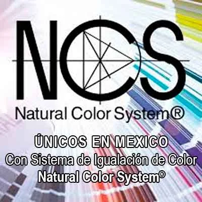 Color para Concreto | Calidad Global y Variedad de Tonos | SPG
