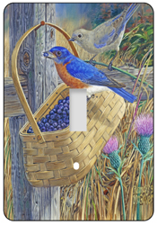 AB176 Bird Switchplates-Bluebirds2900