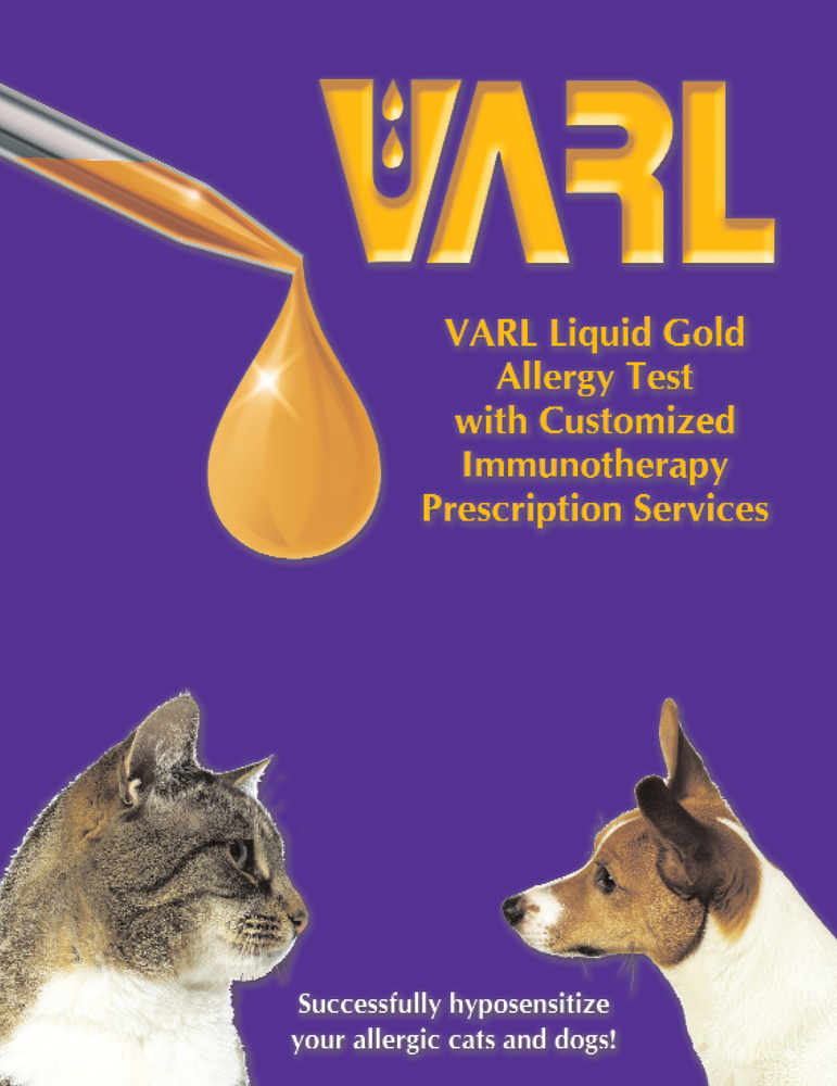 VARL Magazine Cover